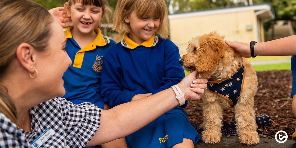 Meet Auggie: The School Therapy Dog Impacting Kids and Staff ~ Teachers ...